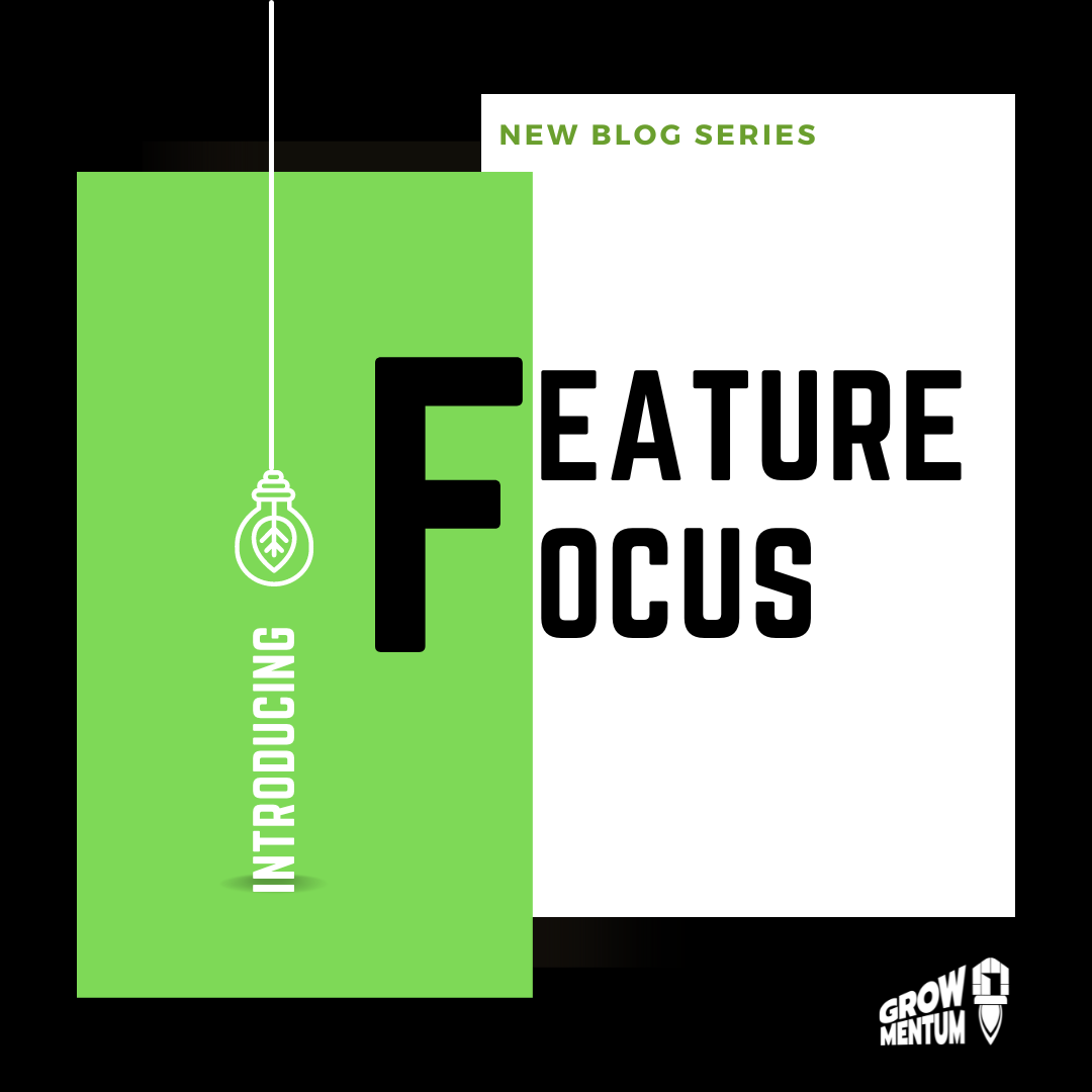 Introducing Feature Focus